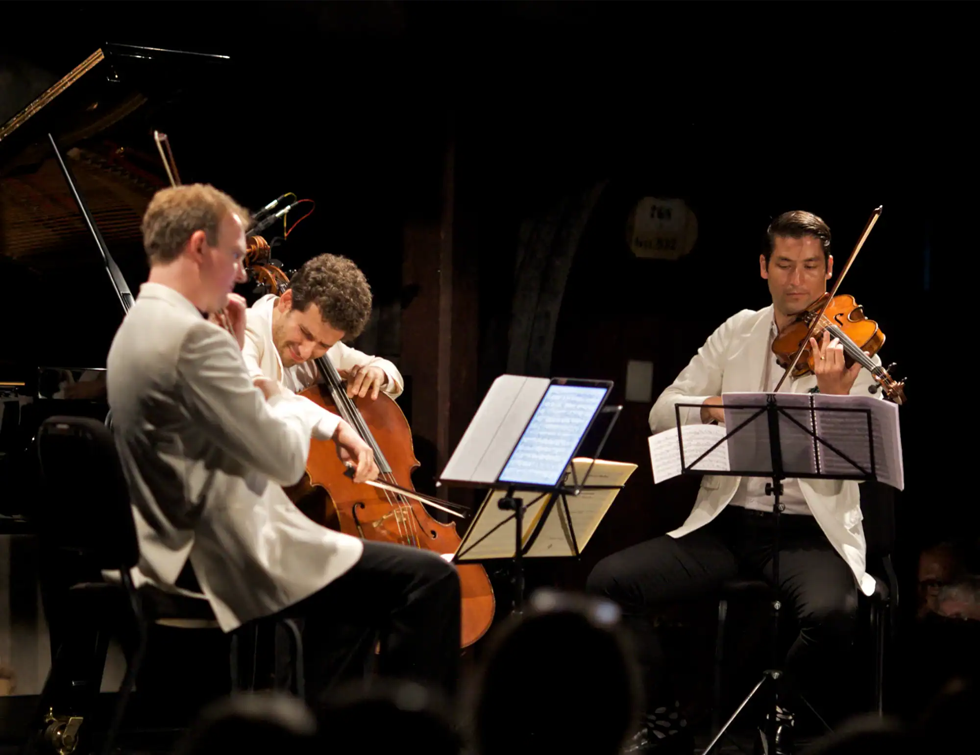 Artists - Music in the Vineyards