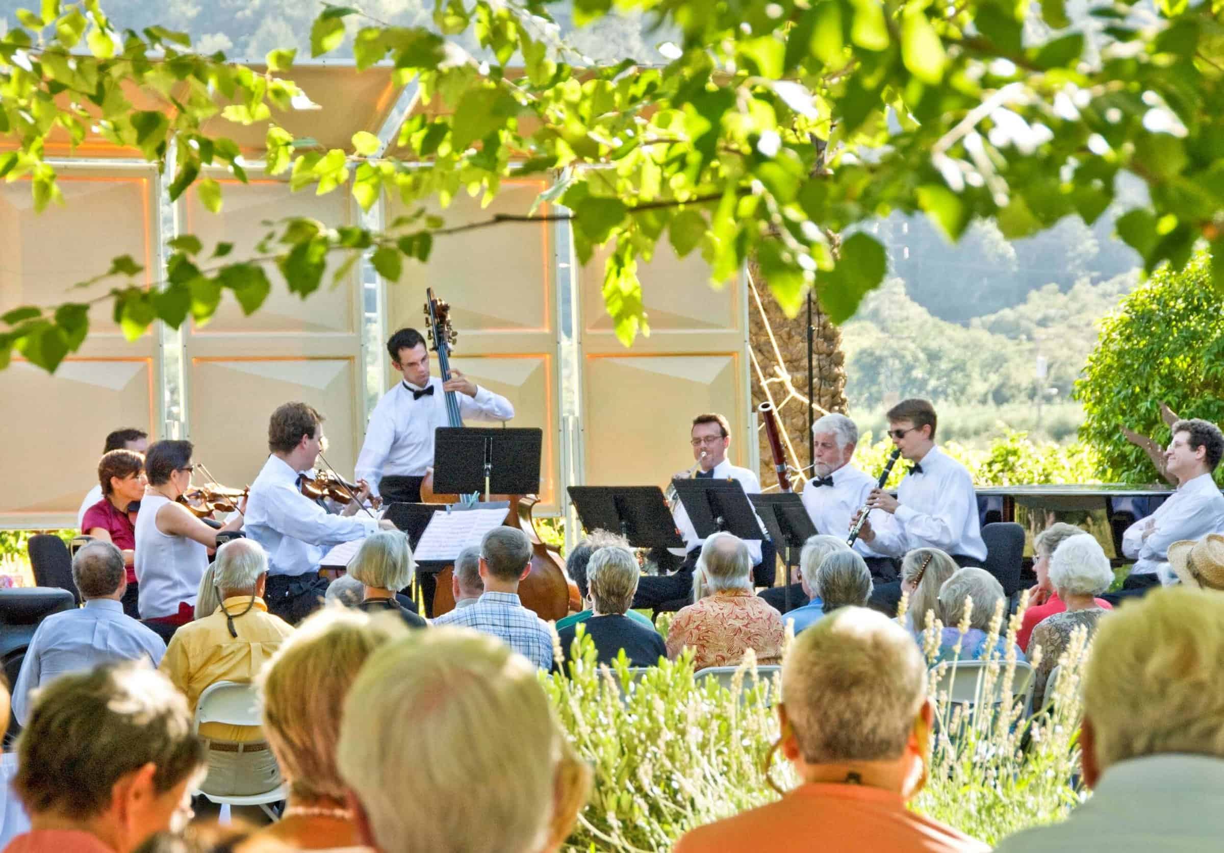 Home - Music in the Vineyards